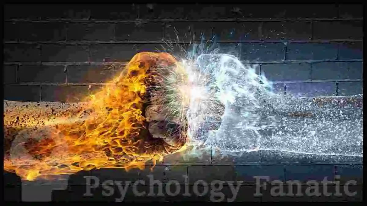 Cognitive Dissonance: Understanding Inner Conflict - Psychology Fanatic