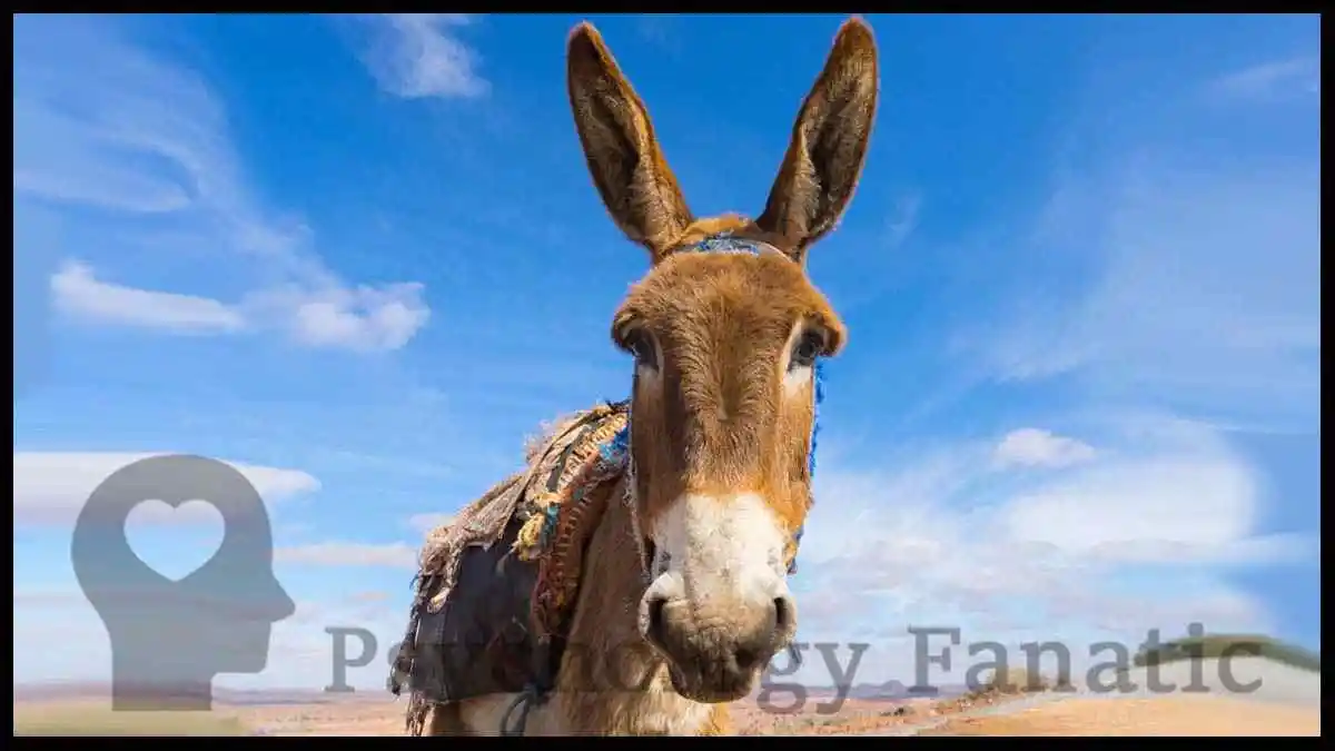 The Impact of Burying Emotions on Mental Well-being - Psychology Fanatic