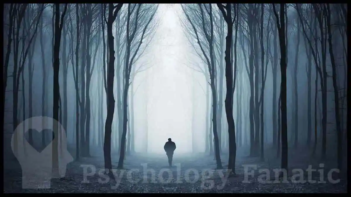 Venturing into the Unknown: Stepping Outside Your Comfort Zone ...