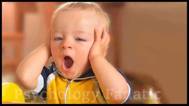 Reality Testing: Navigating Internal and External Worlds - Psychology ...