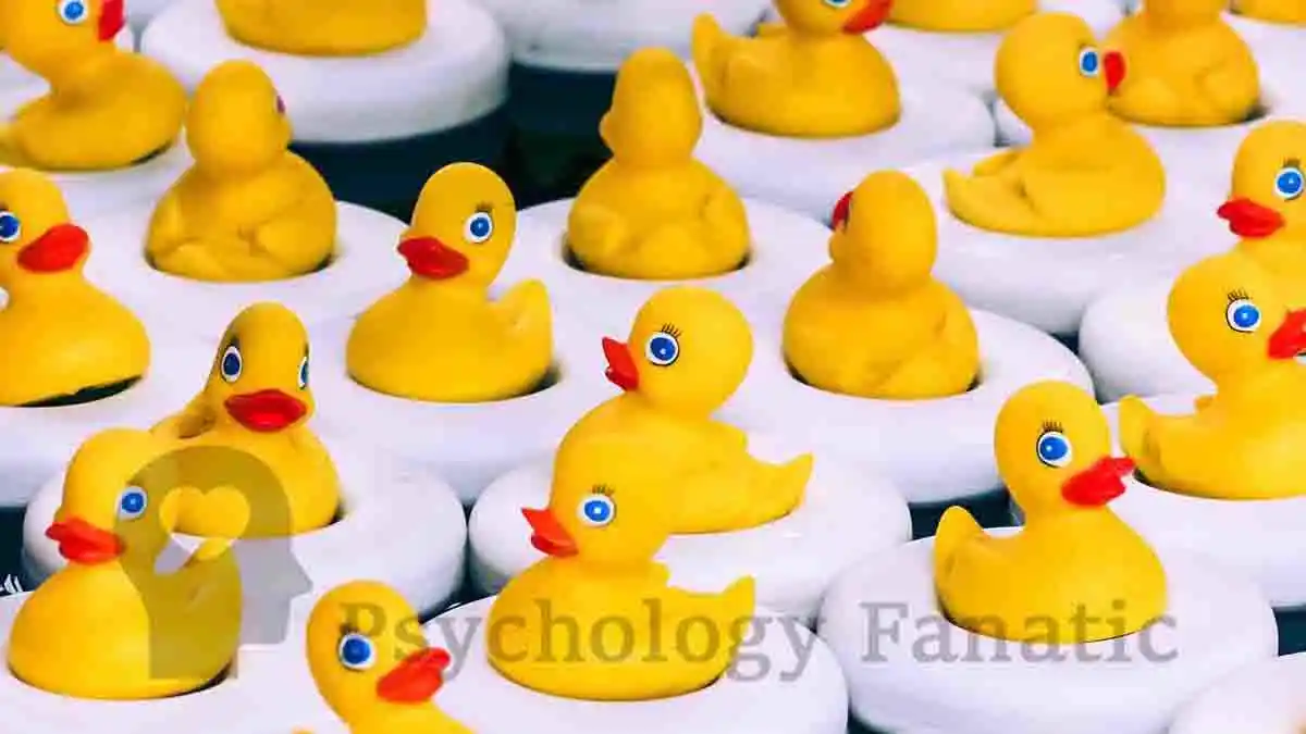 Sameness: The Comfort Zone We Long For - Psychology Fanatic