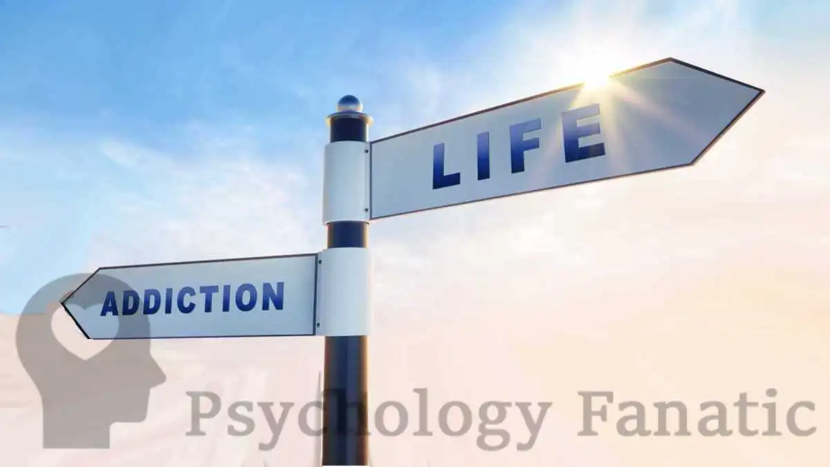 The Journey to Sobriety: The Role of Addiction Detox - Psychology Fanatic