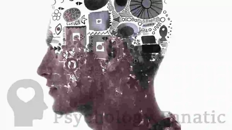 Navigating Self Complexity: Embracing Our Multifaceted Nature ...