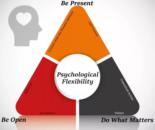 Acceptance and Commitment Therapy (ACT): A Holistic Approach ...