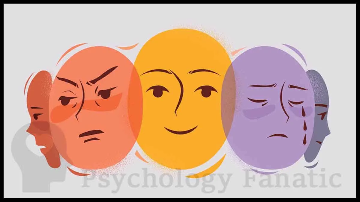 Emotional Valence: Understanding Human Emotions