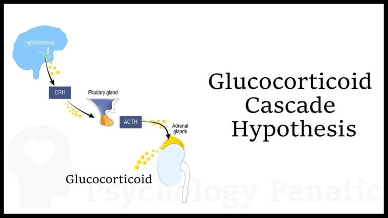 The Psychology behind the Fundamental Attribution Error - Psychology ...