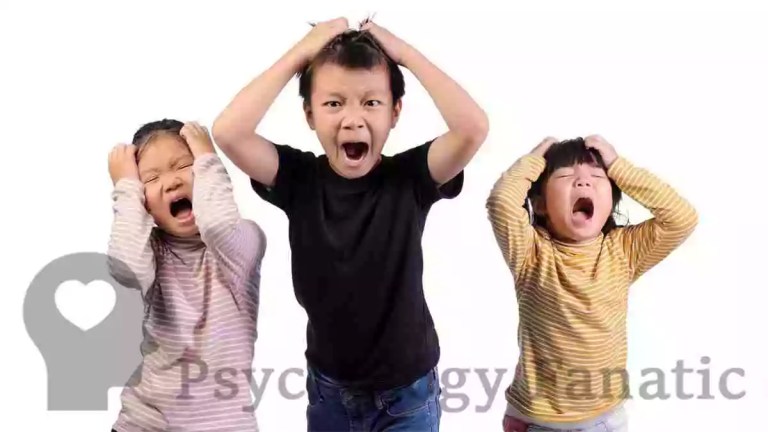 Emotionally Stable: Harnessing the Power of Emotional Balance ...