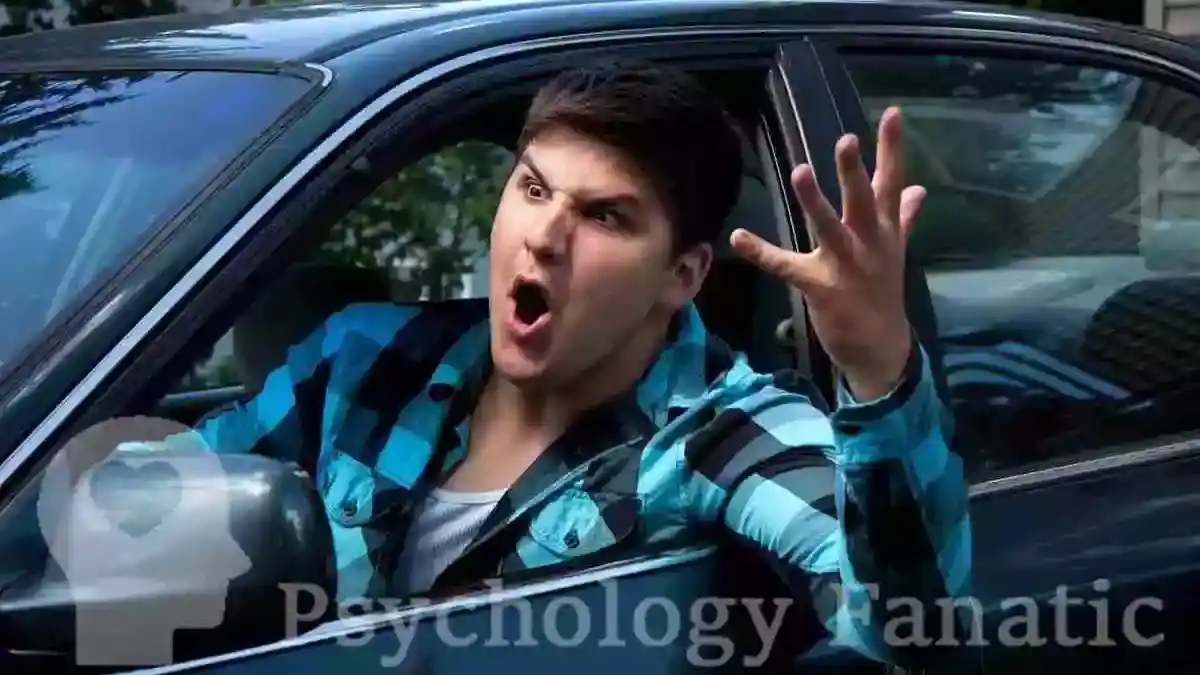 The Nature of Anger: State-Trait Anger Theory Explained - Psychology ...