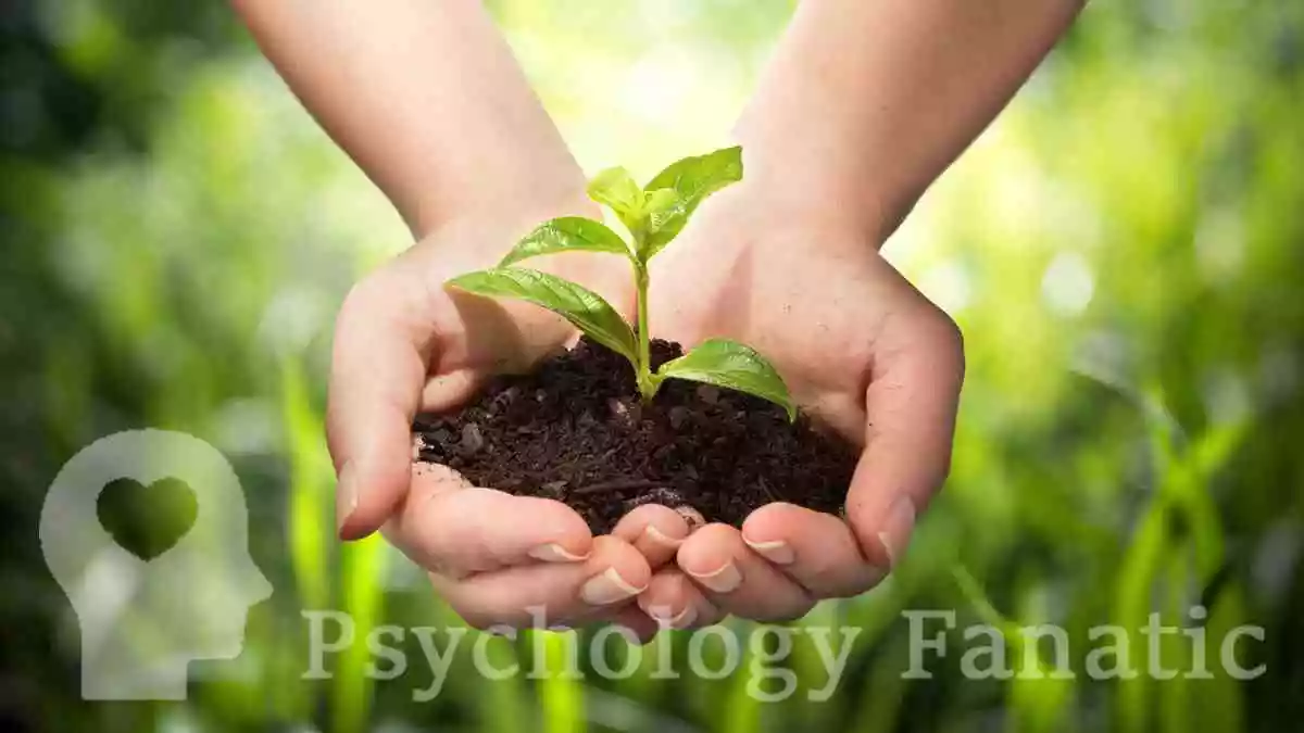 The Art of Self-Cultivation - Psychology Fanatic