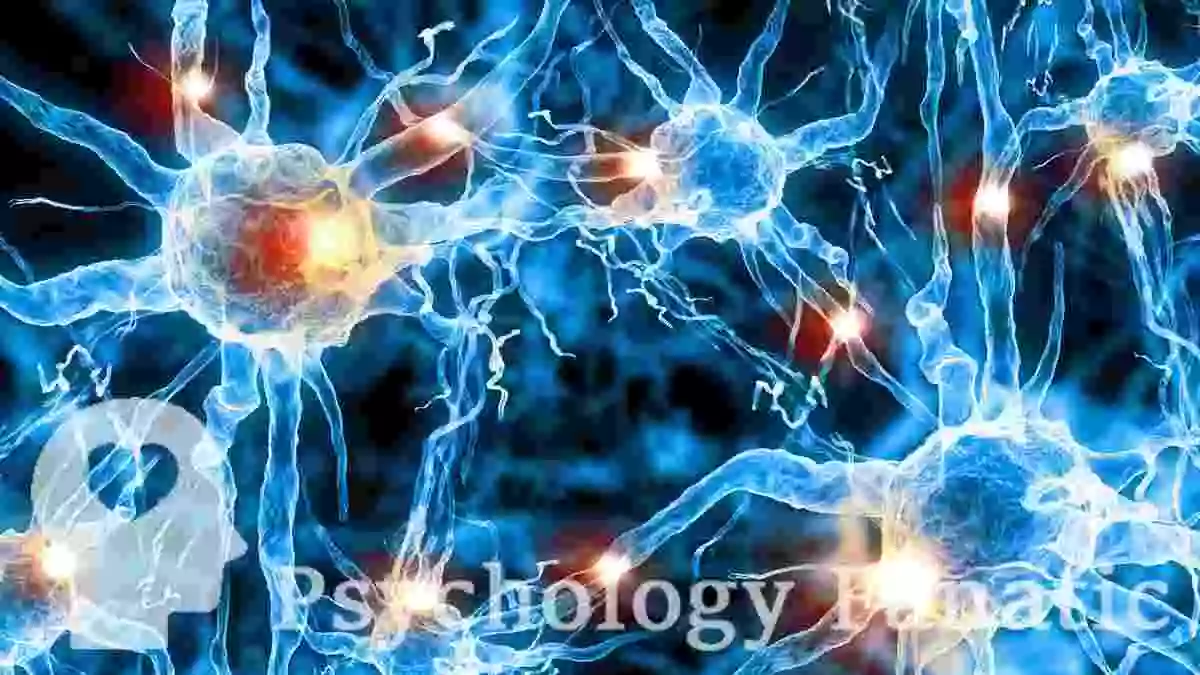 Somatic Markers: Decoding Emotions and Decision-Making - Psychology Fanatic