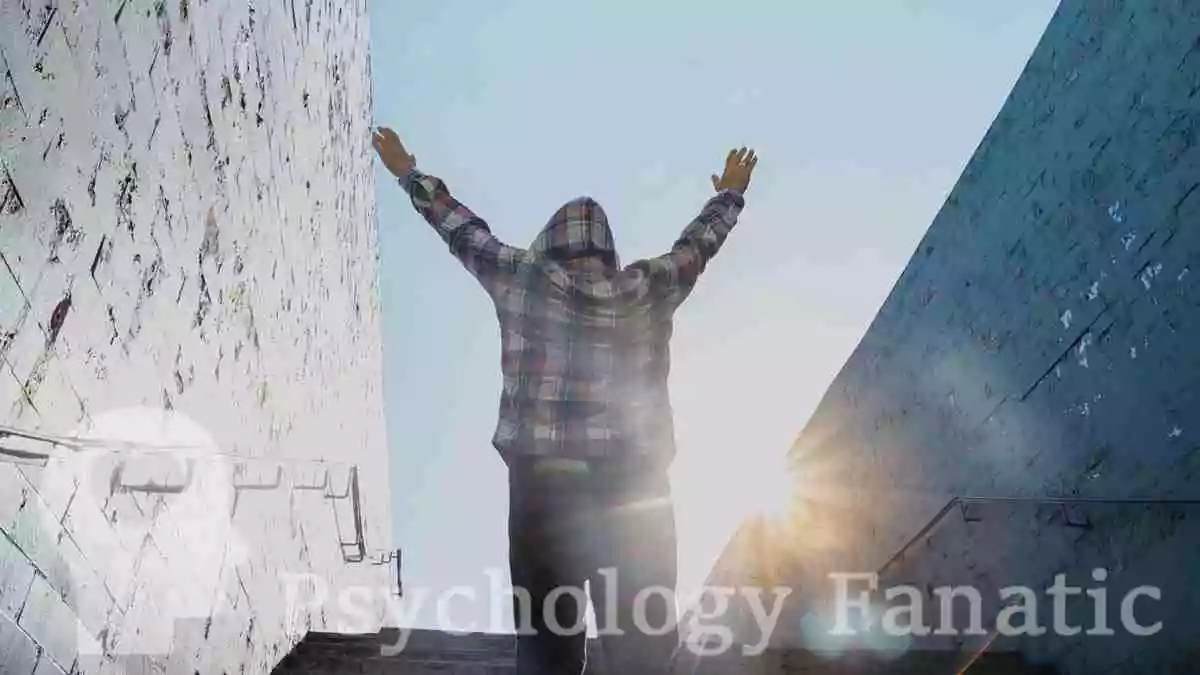 Understanding the Progress Principle: Small Wins for Big Success ...