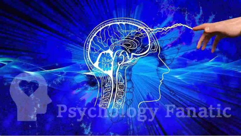 Ideas of Reference: The Intricate Tapestry of Cognition and Perception ...