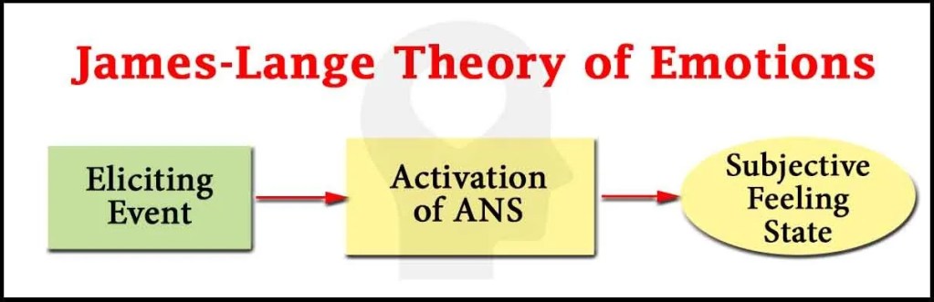 Exploring the Cannon and Bard Theory of Emotion - Psychology Fanatic