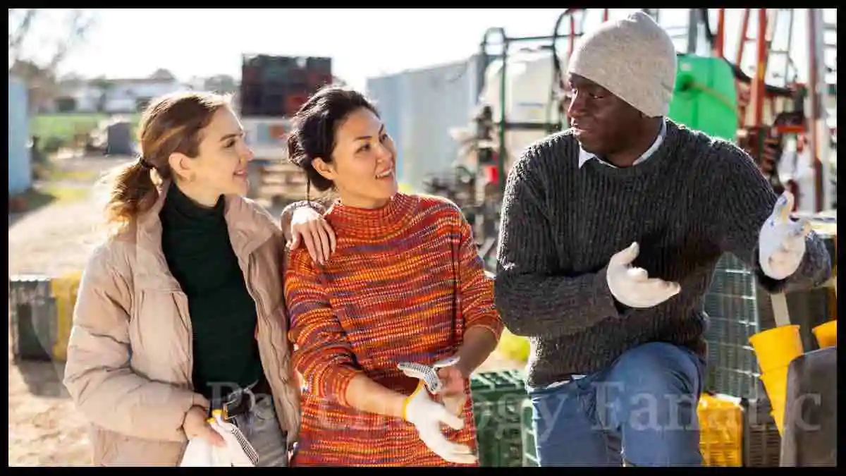 The Contact Hypothesis: Breaking Down Barriers for Mutual Understanding ...