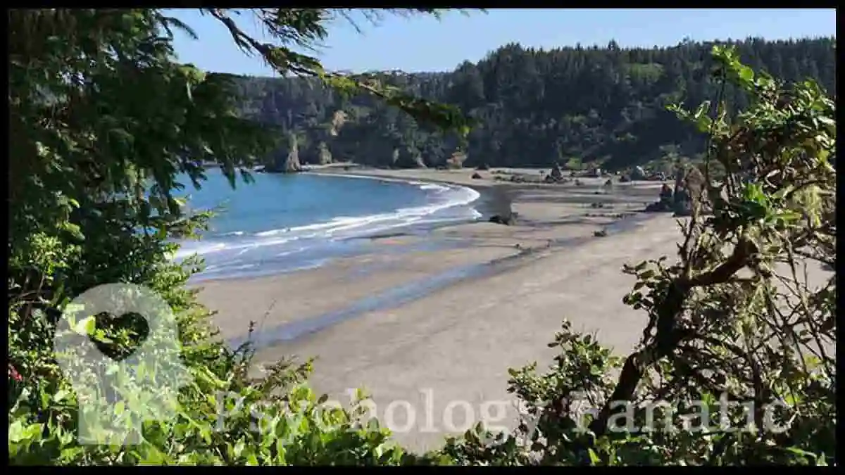 Purpose and Pleasure: The Key Ingredients for Wellness - Psychology Fanatic