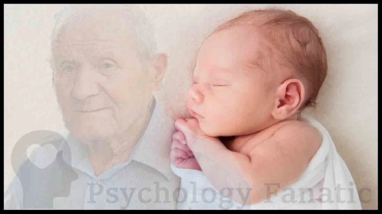 The Tavistock Model: Understanding Its Principles - Psychology Fanatic