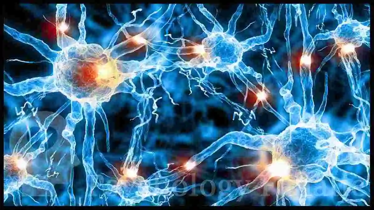 Behavioral Neuroscience: Linking Brain Activity to Human Behavior ...