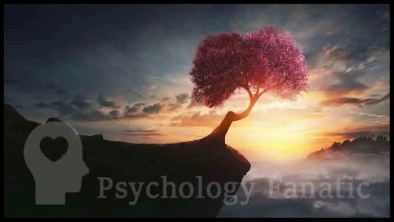 Navigating Self Complexity: Embracing Our Multifaceted Nature ...