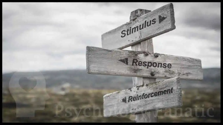 The Psychology of Motivation: Understanding Behavioral Intentions ...