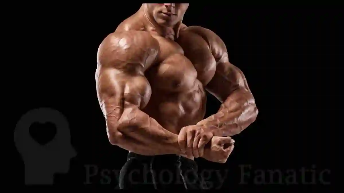 Muscle Hypertrophy Explained for Fitness Enthusiasts - Psychology Fanatic