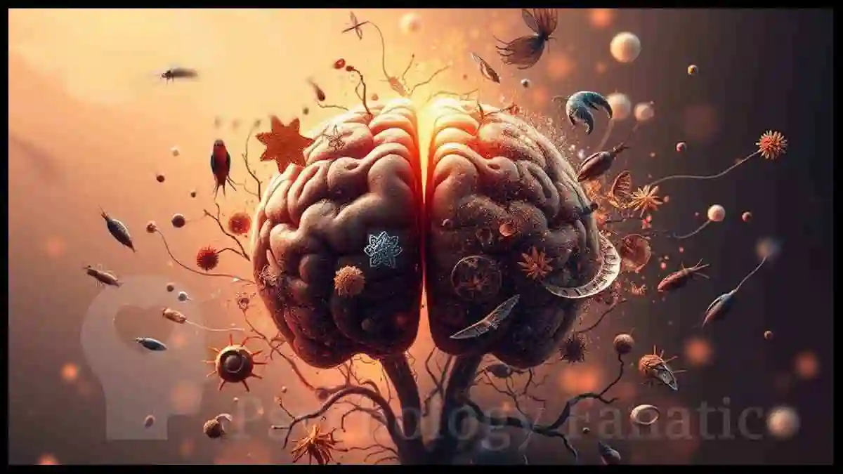 Sometimes Opponent Processes Model Explained - Psychology Fanatic