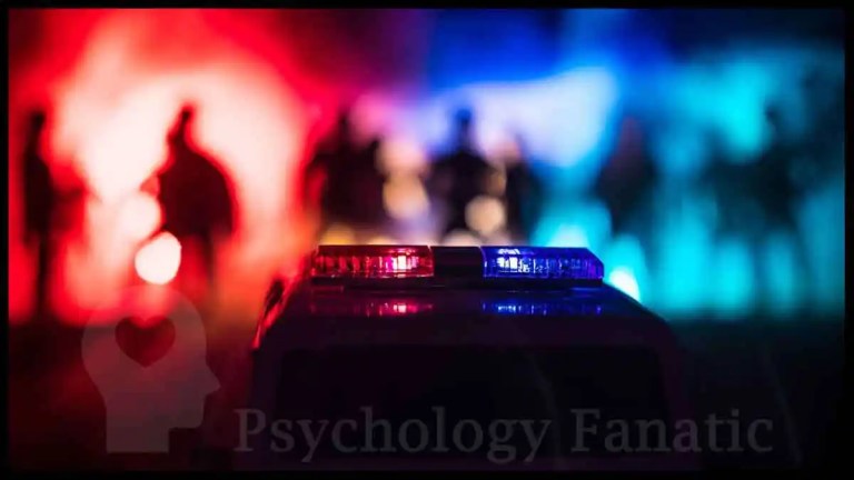 Unraveling the Intricacies of Self-Categorization Theory - Psychology ...